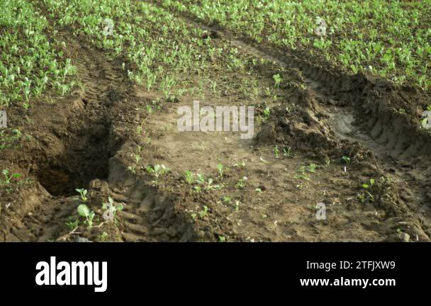 Fields erosion damage soil hole pit inappropriately managed soil earth ...