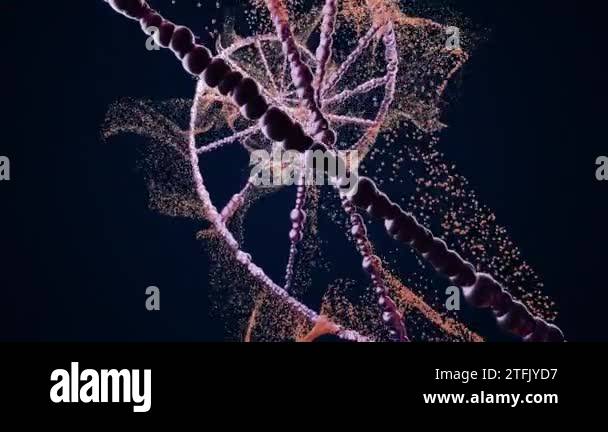 4k video of a light pink DNA chain on a black background with pink ...