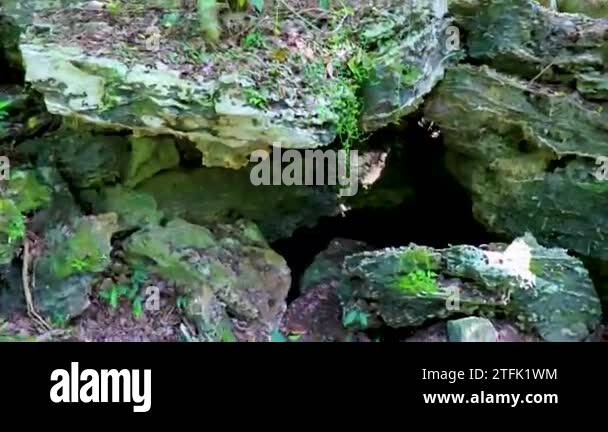 Beautiful spider web between rocks stones boulders and tropical plants ...