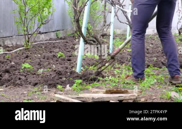 Sowing weeds Stock Videos & Footage - HD and 4K Video Clips - Alamy