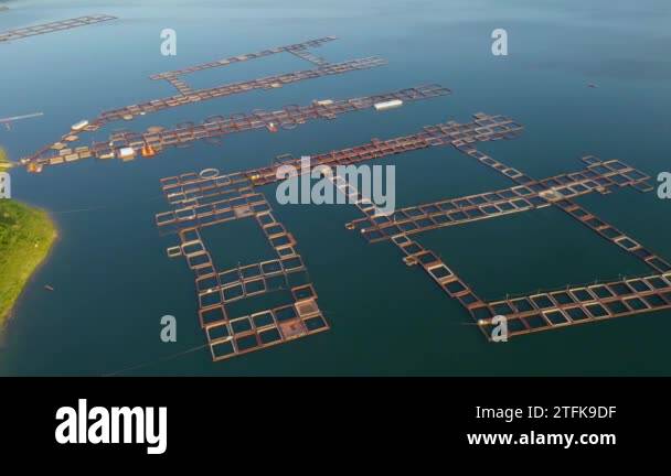 Breeding dam Stock Videos & Footage - HD and 4K Video Clips - Alamy