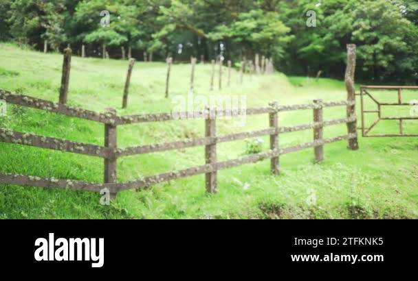 Blurry farm gate Stock Videos & Footage - HD and 4K Video Clips - Alamy