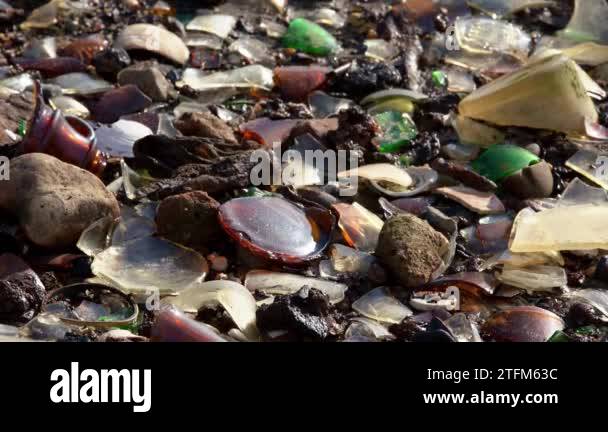 Littered beach in USA. Atlantic Ocean pollution, sandy beach covered by ...
