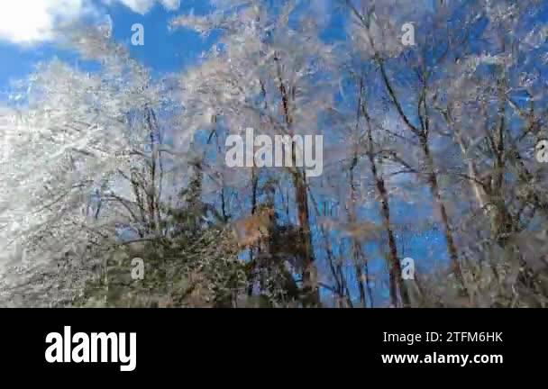 Climate change concept image Stock Videos & Footage - HD and 4K Video ...