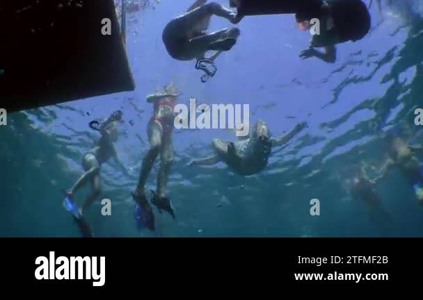Female diver on platform Stock Videos & Footage - HD and 4K Video Clips ...