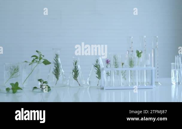 Science laboratory collection Stock Videos & Footage - HD and 4K Video ...