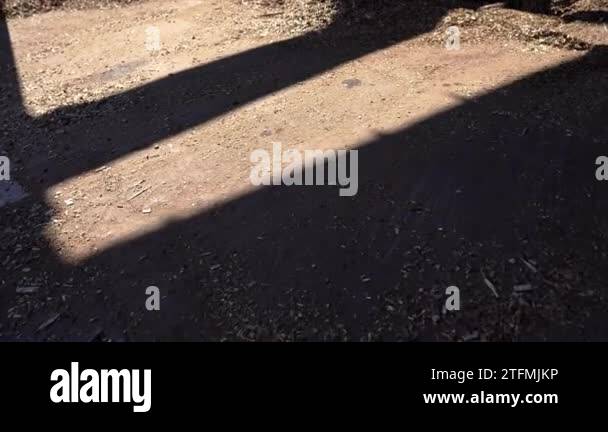 Wood particles of various shapes and sizes, obtained as a result of ...