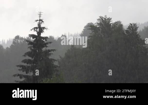 Raining in Mountains, Clouds Mystical Fog, Cloudy Rainy Day, Foggy ...