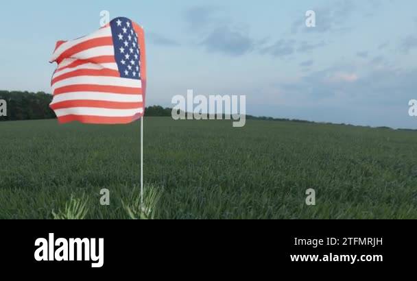 Flag star field Stock Videos & Footage - HD and 4K Video Clips - Alamy