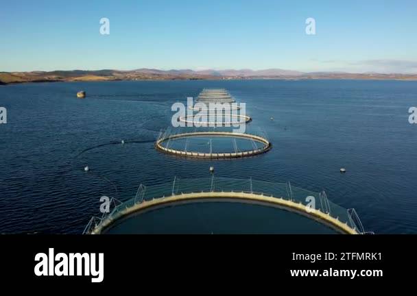 Ocean farm county donegal Stock Videos & Footage - HD and 4K Video ...