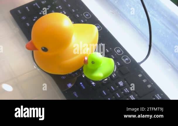 Yellow duck on the black keyboard background Stock Video Footage - Alamy