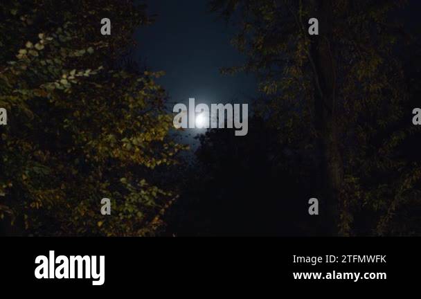 cinematic frame, night sky with moon, horror. halloween. real evil ...