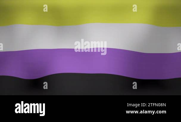 Nonbinary flag Stock Videos & Footage - HD and 4K Video Clips - Alamy