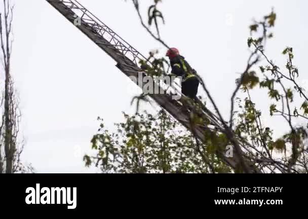 Firefighter climbs the stairs of aerial ladder with a hose to to ...