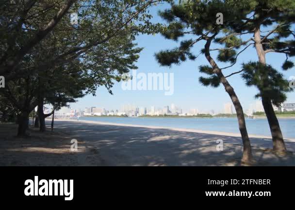 Tokyo Odaiba Seaside Park Early morning 2022 Stock Video Footage - Alamy
