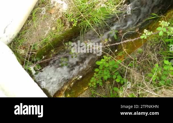 Drainage stream with rainwater flowing in a ditch with a meadow in ...