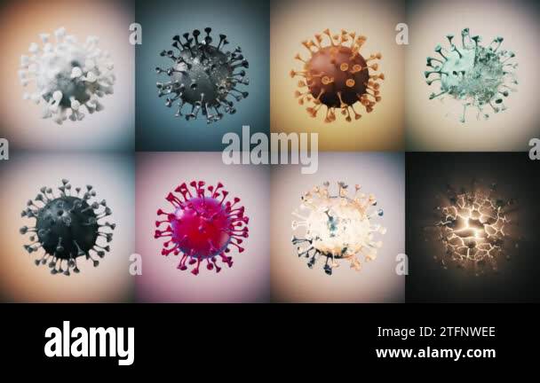 Different cells of the virus. Modifications of the covid-19. Different ...
