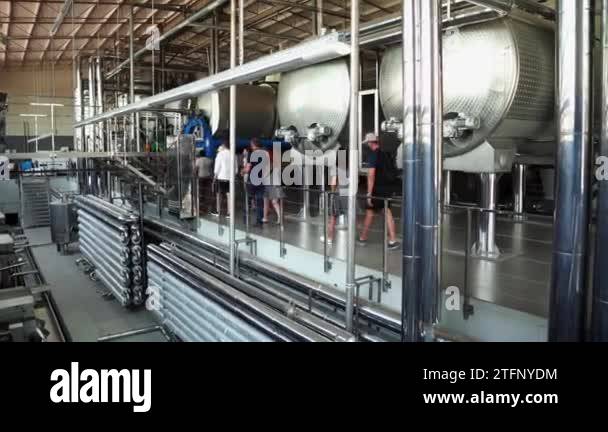 Modern equipment for making and processing grapes. Fermentation and ...