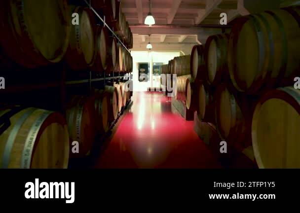 Wine Culture Center Shabo. Shabo plant in Odessa region. Aging of wine ...