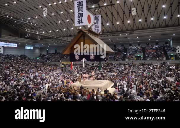 Sumo tournament in Japan. Sumo wrestlers fight. Sumo match Stock Video ...