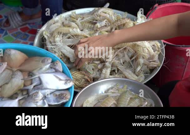 Woman picks fresh shrimp at a street food market in Thailand . Seafood ...