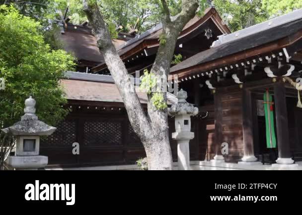 Traditional japanese shrine architecture Stock Videos & Footage - HD ...