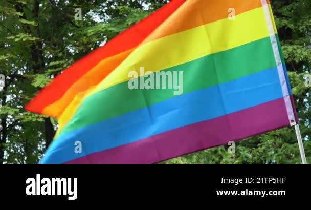 LGBT equality march. Rainbow flag waving. Fight for LGBTQ+ rights ...