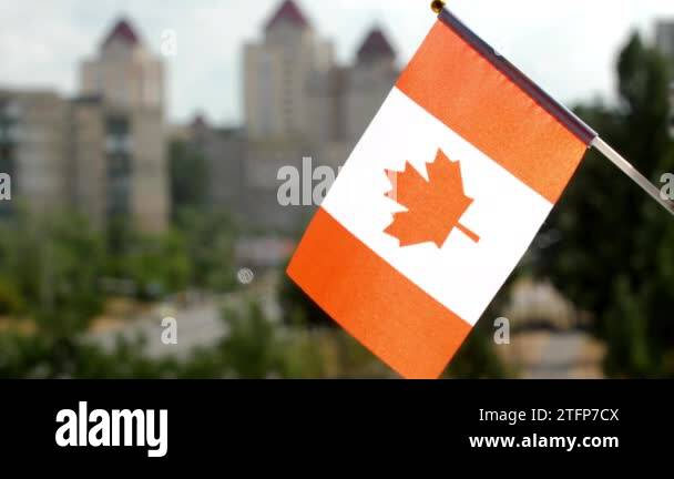 Maple leaf canadian flag Stock Videos & Footage - HD and 4K Video Clips ...