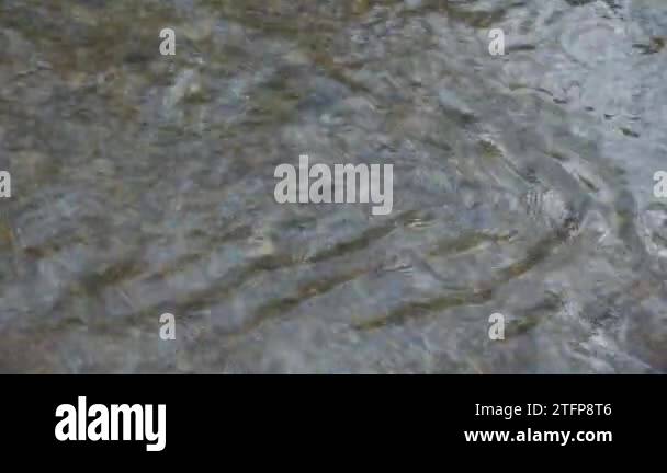 Clear running water in the river, through which you can see the rocky ...