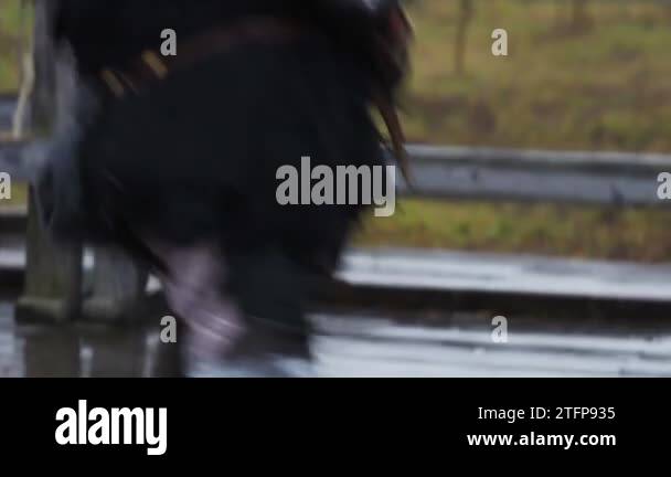 Historical reenactment of brutal and bloody battle between two medieval ...