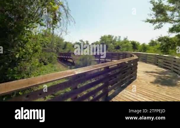 Gulf State Park wooden trail path in the woods Alabama USA 4k Stock ...