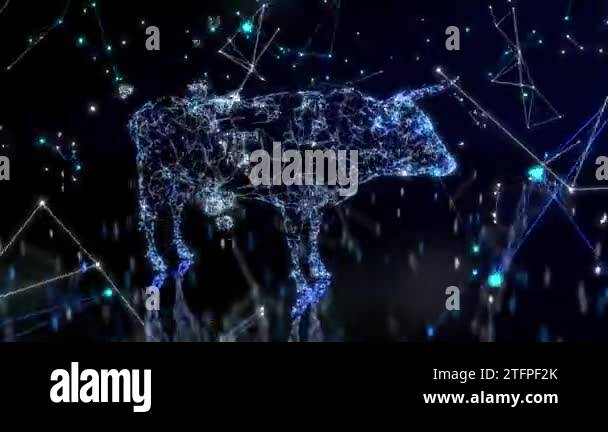 Bull banner Stock Videos & Footage - HD and 4K Video Clips - Alamy