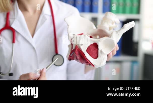 Female doctor showing structure Stock Videos & Footage - HD and 4K ...