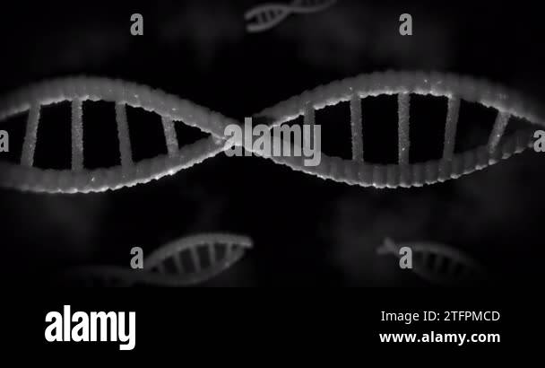 Animation of macro of grey 3d dna strands spinning. science and ...