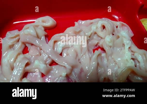 Internal organ meat Stock Videos & Footage - HD and 4K Video Clips - Alamy