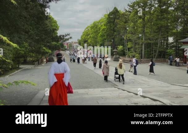 Many people visit Tsurugaoka Hachiman Shrine in the famous Kamakura ...