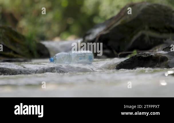 Picking up garbage water plastic nature. Volunteer cleaning river trash ...