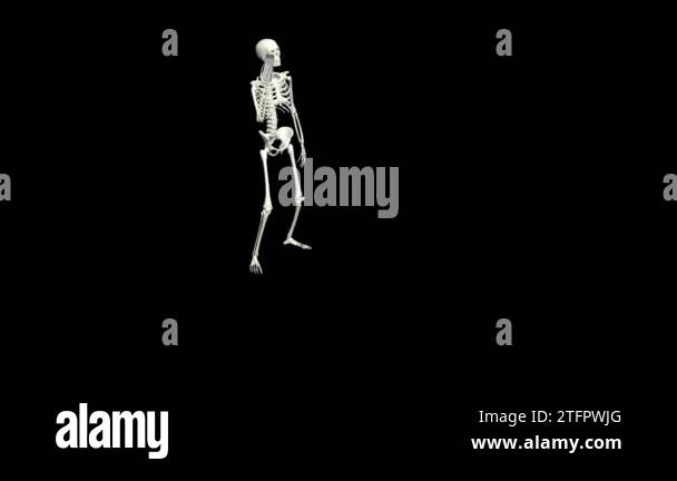 Skeleton is talking on the phone. Skeleton conversation using the phone ...