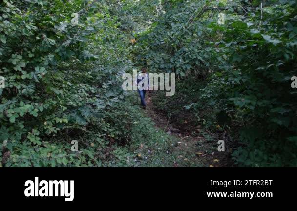 Man in dense forest Stock Videos & Footage - HD and 4K Video Clips - Alamy