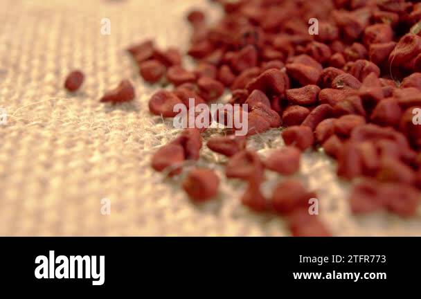 Annatto food coloring seed Stock Videos & Footage - HD and 4K Video ...