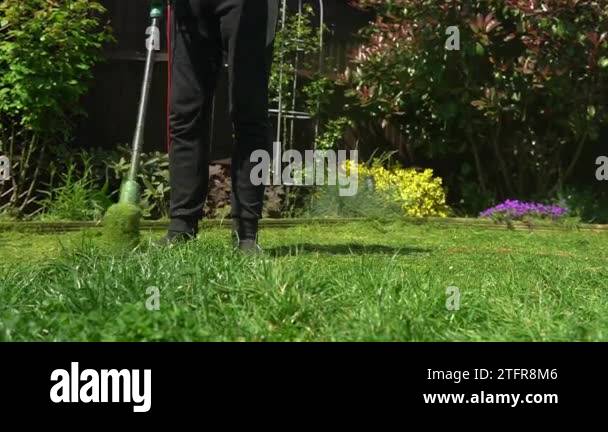 Lawn mower cutting grass. Small Green grass cuttings fly out of ...