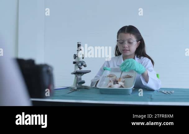 Education concept of 4k Resolution. A young girl explains about an ...