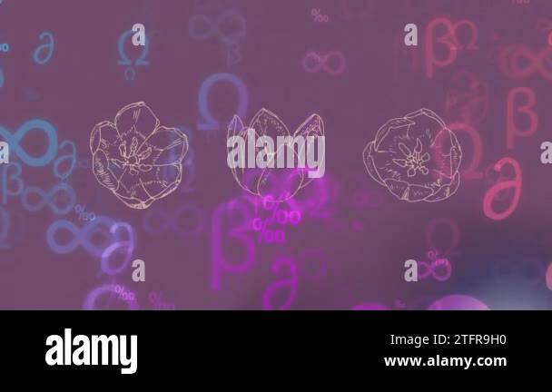 Animation of mathematical symbols over flowers and light spots on ...