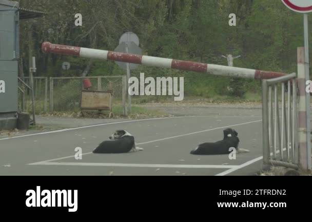 Stella Pripyat. The entrance to the radioactive ghost town of Pripyat ...