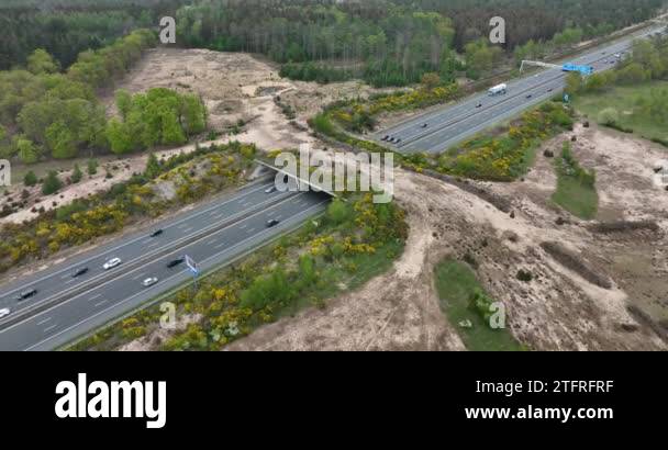 Ecoduct ecopassage or animal bridge crossing over the A12 highway in ...