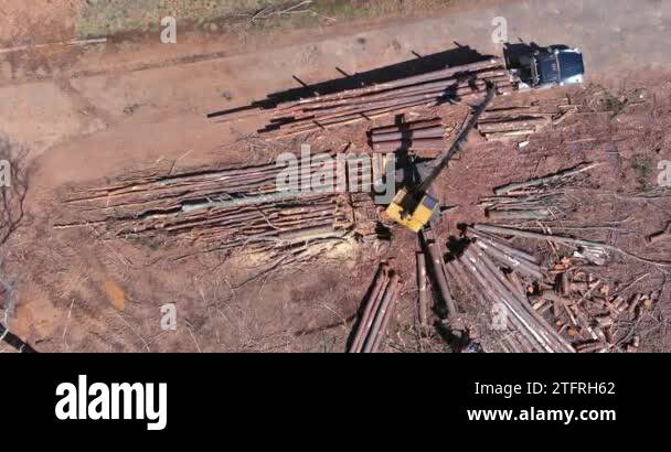 Log harvesting machine Stock Videos & Footage - HD and 4K Video Clips ...