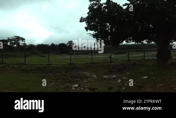 Timber yard Stock Videos & Footage - HD and 4K Video Clips - Alamy