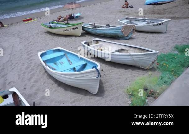 Fishing sunbathing on beach Stock Videos & Footage - HD and 4K Video ...