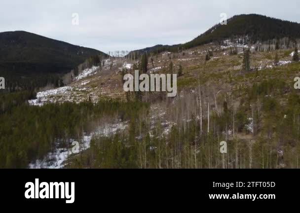 Planted in a block Stock Videos & Footage - HD and 4K Video Clips - Alamy