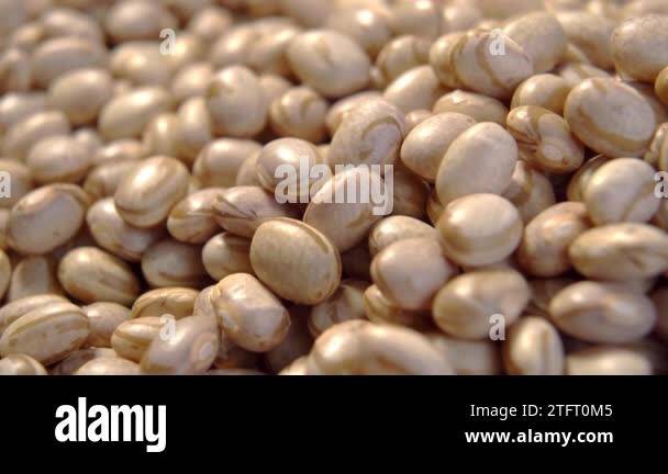 Brazilian beans Stock Videos & Footage - HD and 4K Video Clips - Alamy